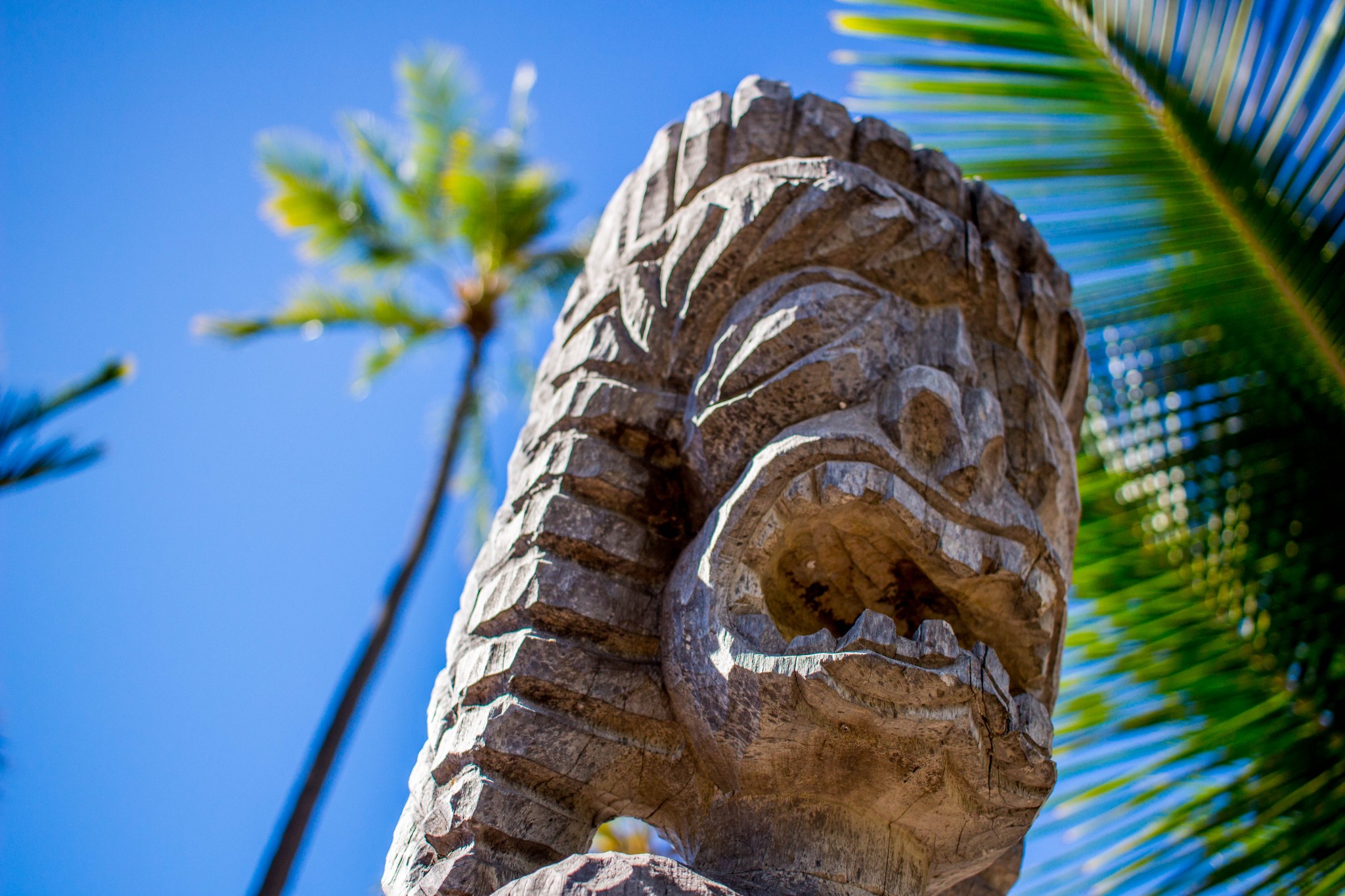 Our Favorite Big Island Hawaii Things To Do