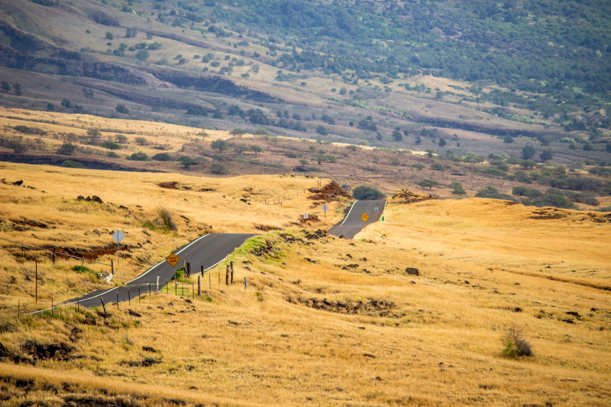 Road to Hana Stops, Tips and Secrets