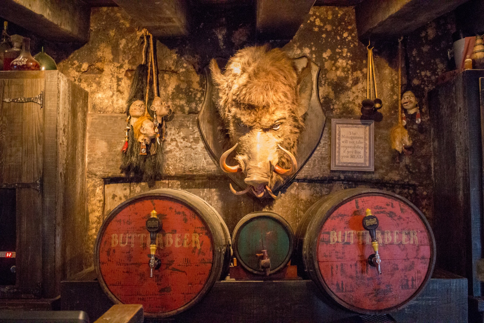 Hogsmeade and Hogwarts! The Wizarding World of Harry Potter