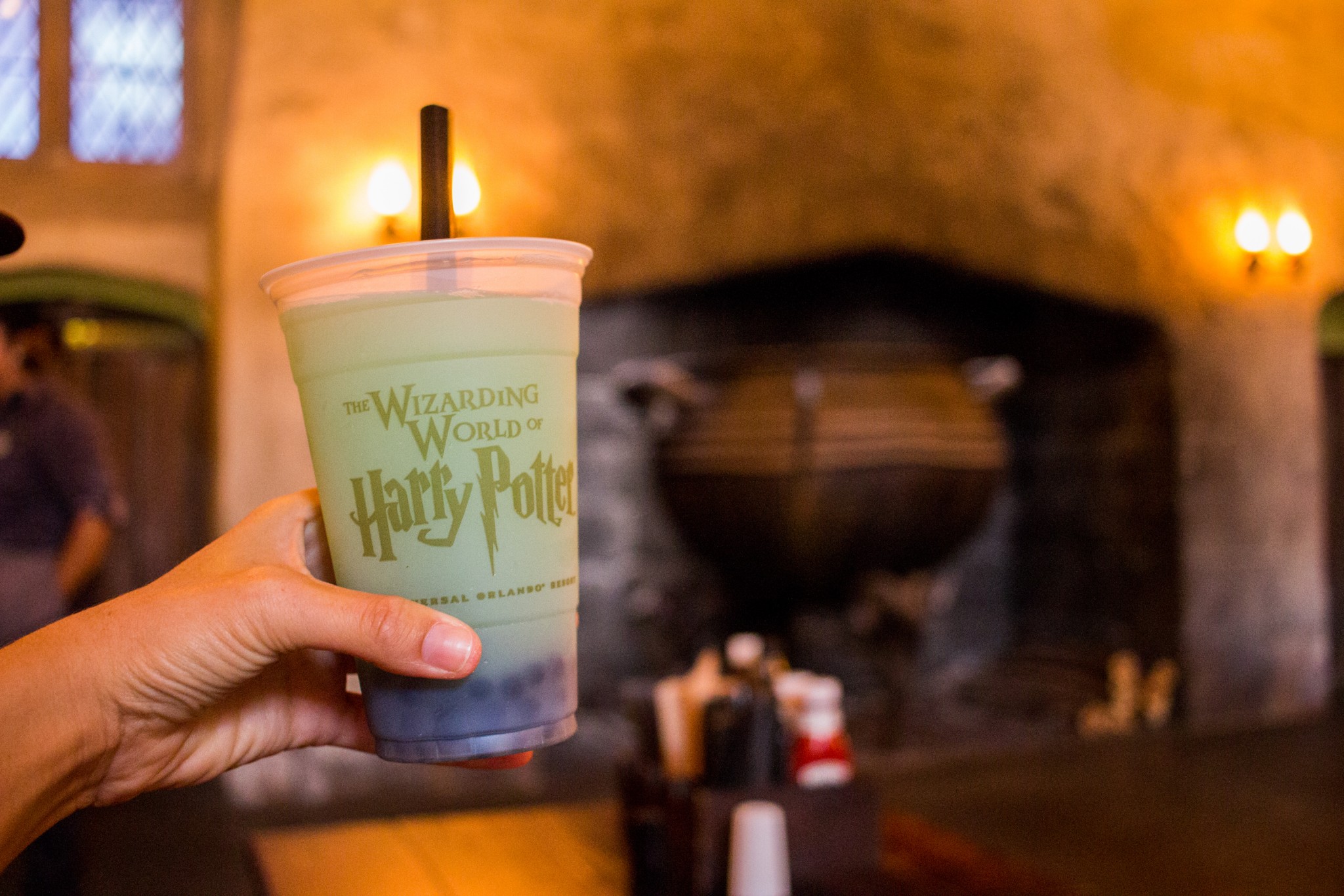 What to See at Harry Potter World, Diagon Alley - Universal Studio Florida
