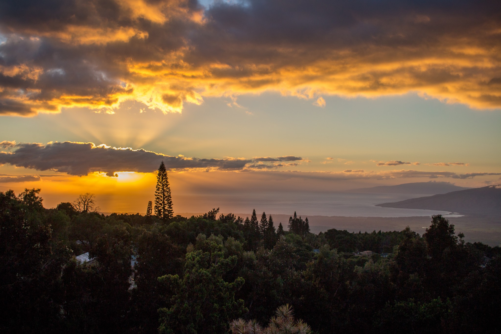 After Haleakala Sunrise, A Day in Maui's Upcountry